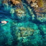 Tossa de Mar: Snorkeling Tour - Introduction: An Underwater Choice for Every Traveler