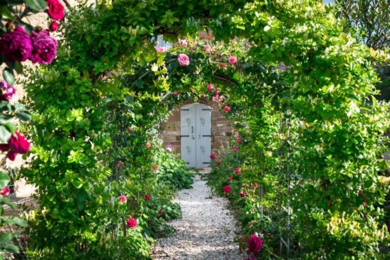 Total Immersion Wine Tour in Chianti - Detailed Itinerary: From Vine to Glass