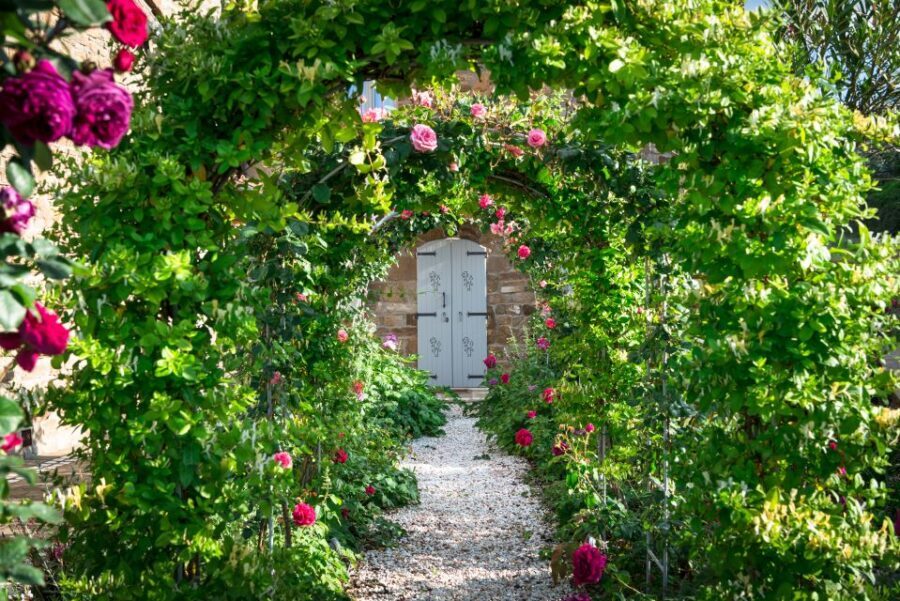Total Immersion Wine Tour in Chianti - Detailed Itinerary: From Vine to Glass