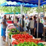 Toulon Private Tour - The Value of a Private Guided Tour