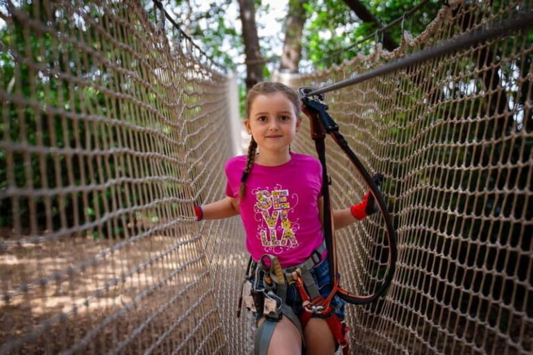 Toulon: Tree climbing course - Who Will Love This Experience?