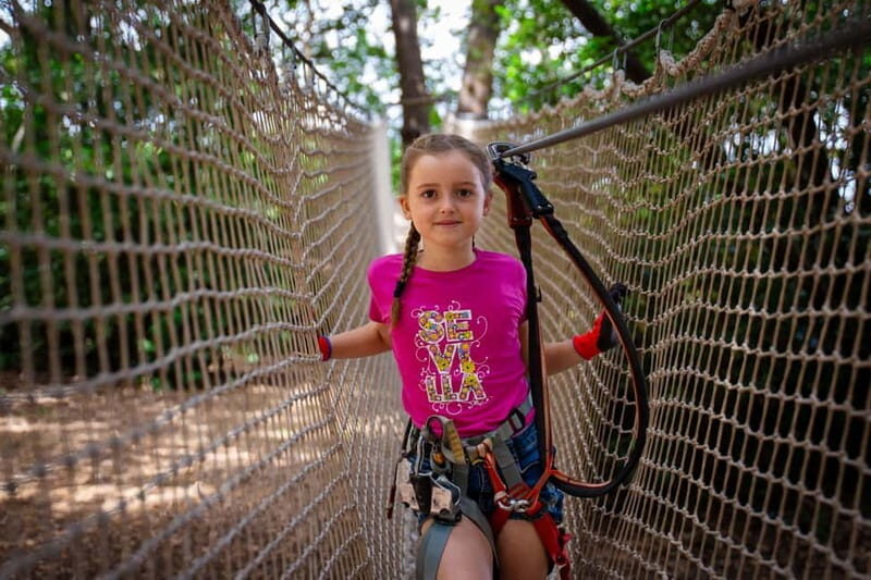 Toulon: Tree climbing course - Who Will Love This Experience?