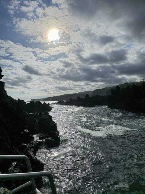 Tour along the coast of Terceira Island - Who Is This Tour Perfect For?