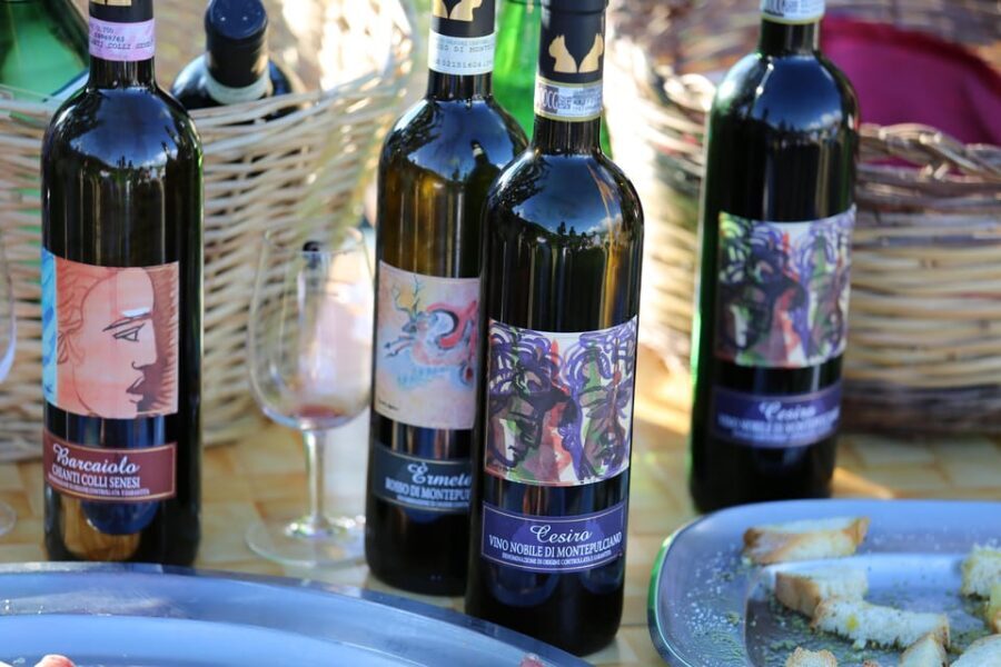 TOUR AND LUNCH AT THE CELLAR, SAUSAGES BY THE VINEYARD - Practical Details and Value