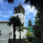 Tour Around the Island - Private VIP Tour in Tenerife - The Experience You’ll Love