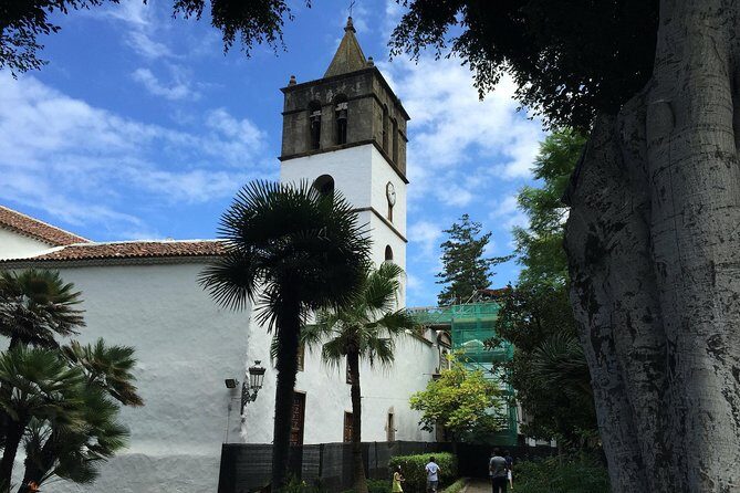 Tour Around the Island - Private VIP Tour in Tenerife - The Experience You’ll Love