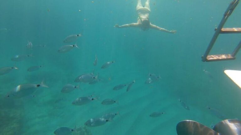 Tour da Avola A Portopalo con sosta e visita a Marzamemi - What’s Included & How the Experience Flows
