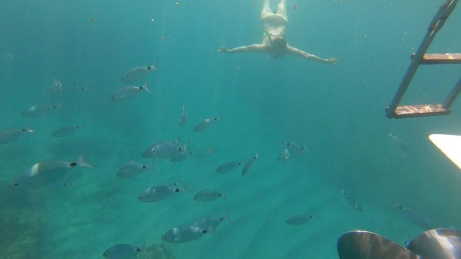 Tour da Avola A Portopalo con sosta e visita a Marzamemi - What’s Included & How the Experience Flows