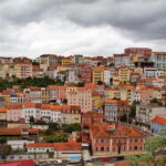 Tour from Lisbon: Aveiro, Coimbra, Conímbriga, and the Palace of Bussaco - The Practical Side of This Tour
