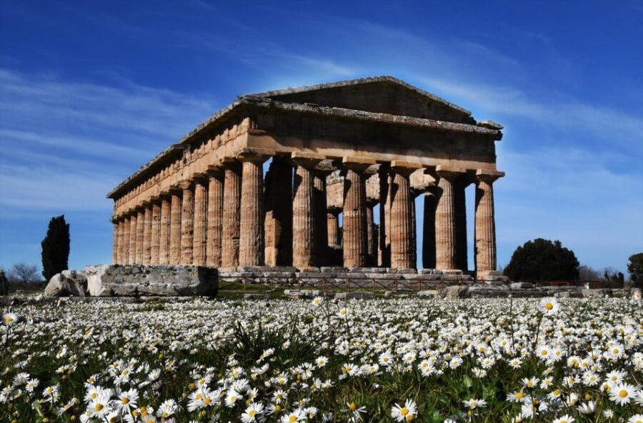 Tour from Naples to Paestum: Discover the Temples of Magna Graecia - What Makes This Tour Stand Out?
