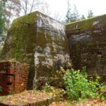 Tour from Warsaw: Wolf's Lair, Hitler's HQ Zones I and II - Final Thoughts: Is This Tour Right for You?