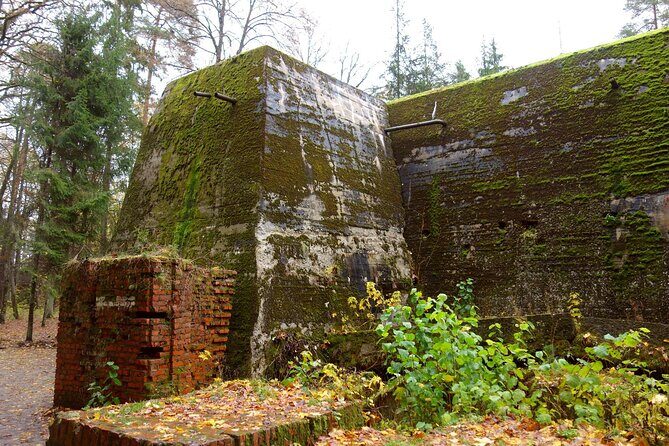 Tour from Warsaw: Wolf's Lair, Hitler's HQ Zones I and II - Final Thoughts: Is This Tour Right for You?