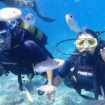 Tour in Alanya with Lunch and Guided Scuba Dives from Side - What You Need to Know Before Booking