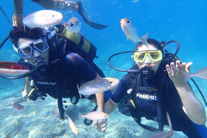 Tour in Alanya with Lunch and Guided Scuba Dives from Side - What You Need to Know Before Booking