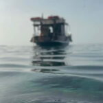 tour in barca con sosta bagno nelle acque di scilla - Practical Details and Value