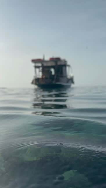 tour in barca con sosta bagno nelle acque di scilla - Practical Details and Value