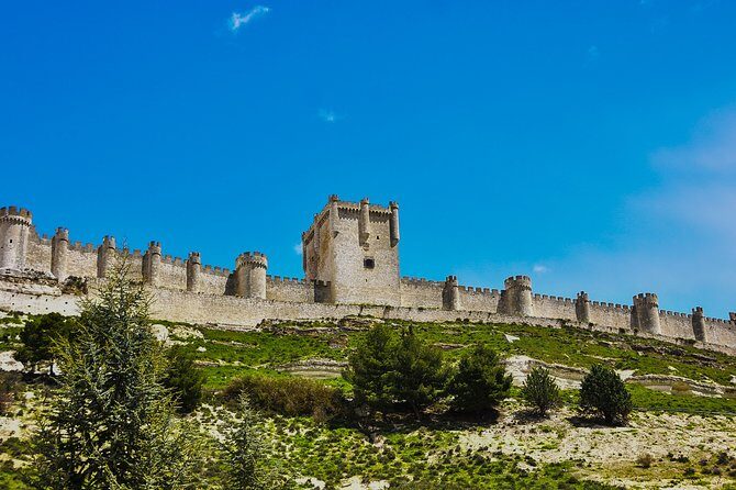 Tour in Ribera del Duero "like a native", with traditional Spanish tapas - FAQs