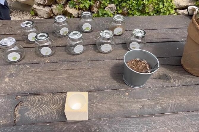 Tour in the heady scents of our garden in Ragusa - Exploring the Fragrant Gardens of Ragusa: A Unique Sensory Journey