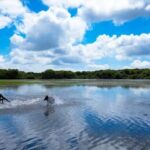 Tour Nature & Wildlife from Cagliari - How the Tour Is Structured