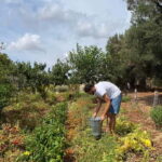 Tour of Apulian farms and local producers - Who Will Love This Tour?