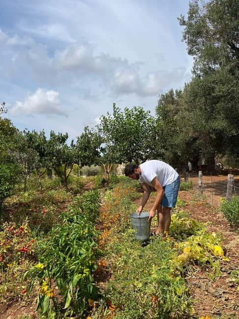 Tour of Apulian farms and local producers - Who Will Love This Tour?