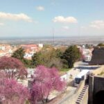 Tour of Arrábida and beautiful landscapes and wine tasting - The Practicalities: What It Means for You