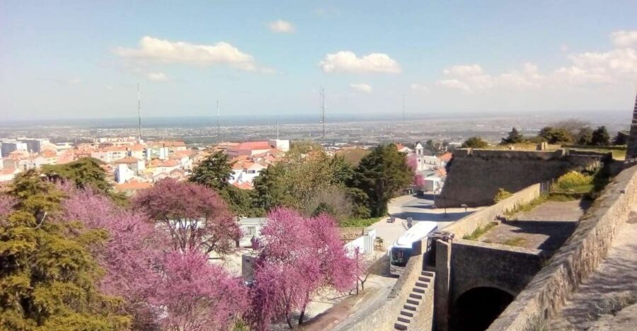 Tour of Arrábida and beautiful landscapes and wine tasting - The Practicalities: What It Means for You