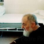 Tour Of Padre Pio: From Pietrelcina To San Giovanni Rotondo - Why This Tour Suits Certain Travelers Best
