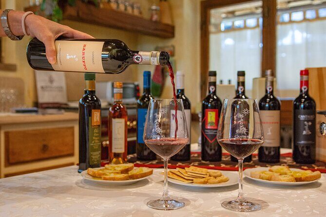 Tour of the cellar and tasting of 6 wines - The Visits Logistics and Practical Tips