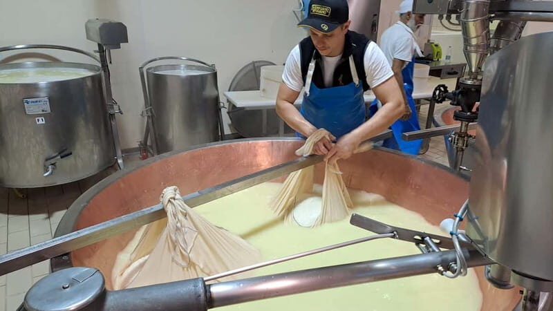 Tour of the dairy and warehouse + lunch with experience menu - The Experience Menu: Savoring Emilia-Romagna Flavors