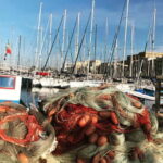 Tour of the historic center of Palermo: from the port of Cala to the Cathedral - Top Key Points