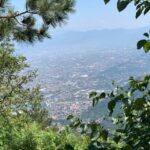 Tour : Positano Sorrento Pompeii Ruins whit Driver - What to Expect from This Tour