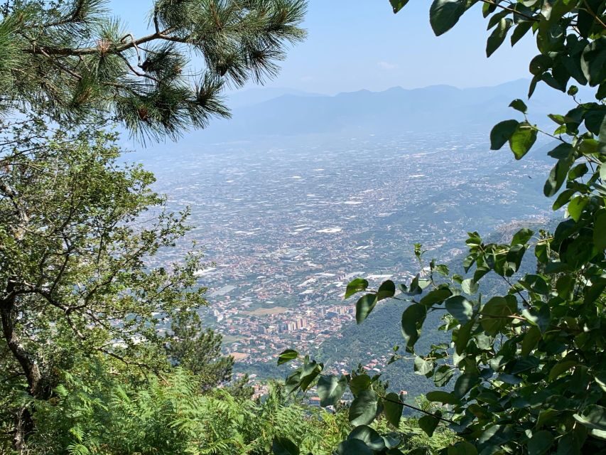 Tour : Positano Sorrento Pompeii Ruins whit Driver - What to Expect from This Tour