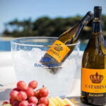 Tour Private Wine Tasting - Who Will Love This Tour?