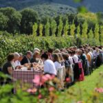 Tour & Tasting - Authenticity and Reviews: What Visitors Say