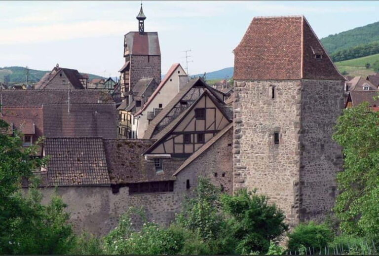 Tour, tasting, and traditional meal in Riquewihr - What makes this tour special