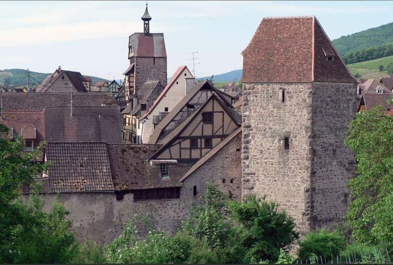 Tour, tasting, and traditional meal in Riquewihr - What makes this tour special