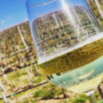 Tour & Tasting at Cantine Capitani - Why This Tour Offers Real Value