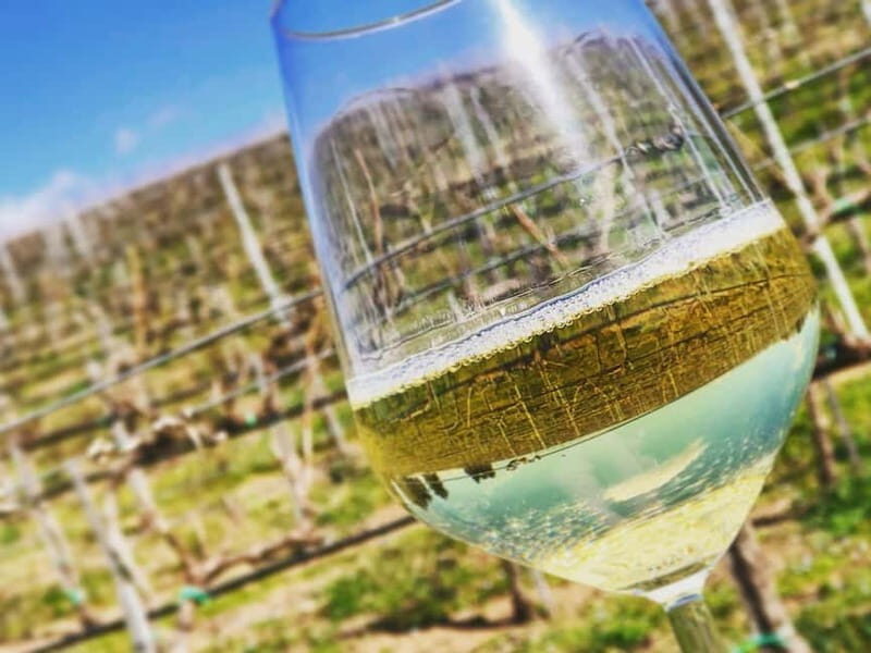 Tour & Tasting at Cantine Capitani - Why This Tour Offers Real Value