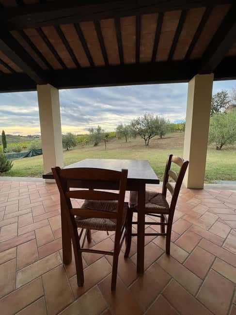 Tour & tasting at Tenuta la Viola - What Travelers Say