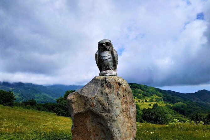 Tour to Didgori Valley from Tbilisi (Turtle Lake, Ethnographic Museum, Kojori) - Key Points