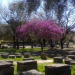 Tour to the archaeological site of Olympia by an archaeologist of Italian descent - Why You’ll Love This Tour