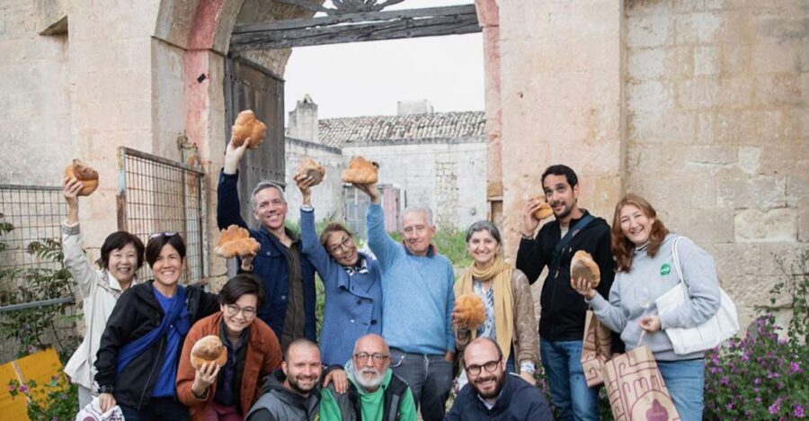 Tour tra i Templi dell'Olio e gli Olivi Patriarchi - Inside the Cave: A Glimpse into Rural Life