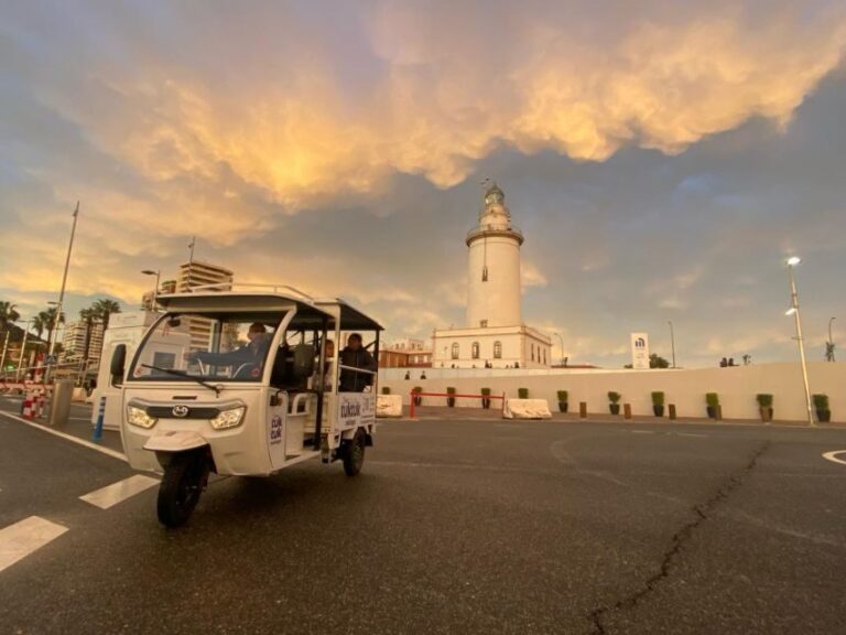 Tour TukTuk Málaga - Authentic Insights from Past Travelers