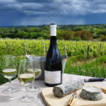 Touraine wine & cheese ebike ride, tasting in the vineyards - The Practicalities: What You Need to Know