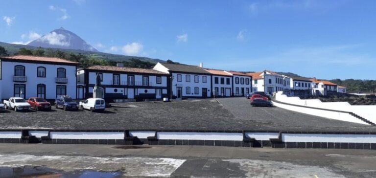 Tours on Pico Island - Cultural and Natural Landscape - The Value of the Tour