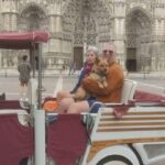 Tours: visite du coeur historique de la ville. - Who Will Enjoy This Tour?