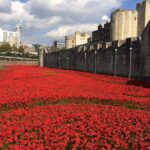 Tower of London Private Guided Tour - The Cost and Its Value