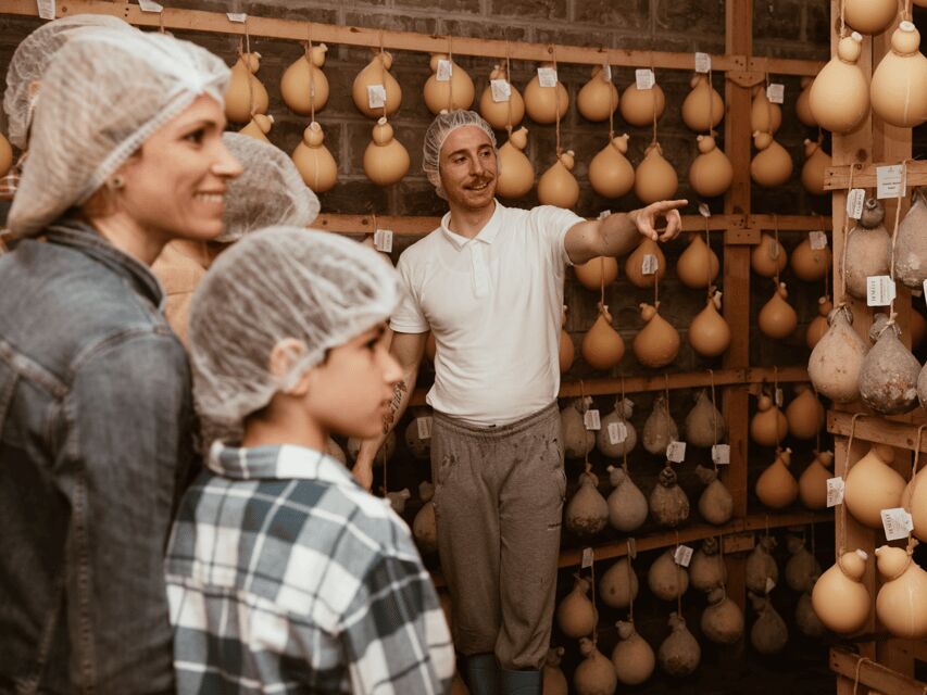 Traditional Cheese Factory Visit with Tasting near Isernia - An In-Depth Look at the Cheese Factory Tour