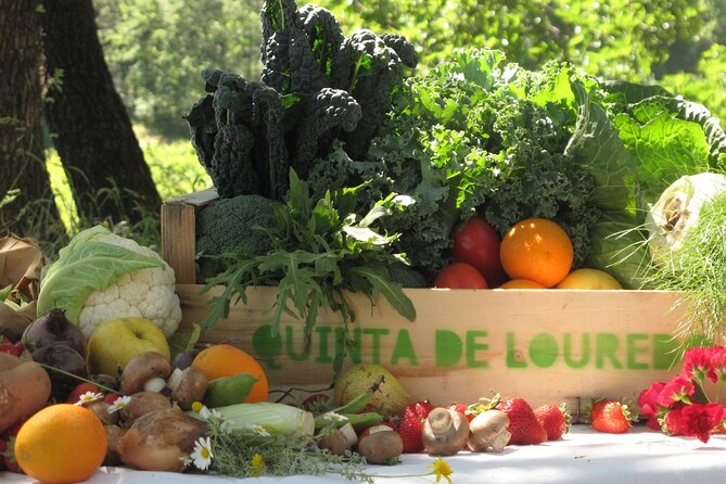 Traditional Cooking Class, Farm Tour & Lunch in the Douro Valley - Introduction